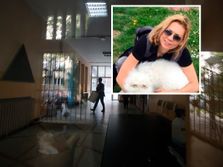 Hronika - Telegraf.rs