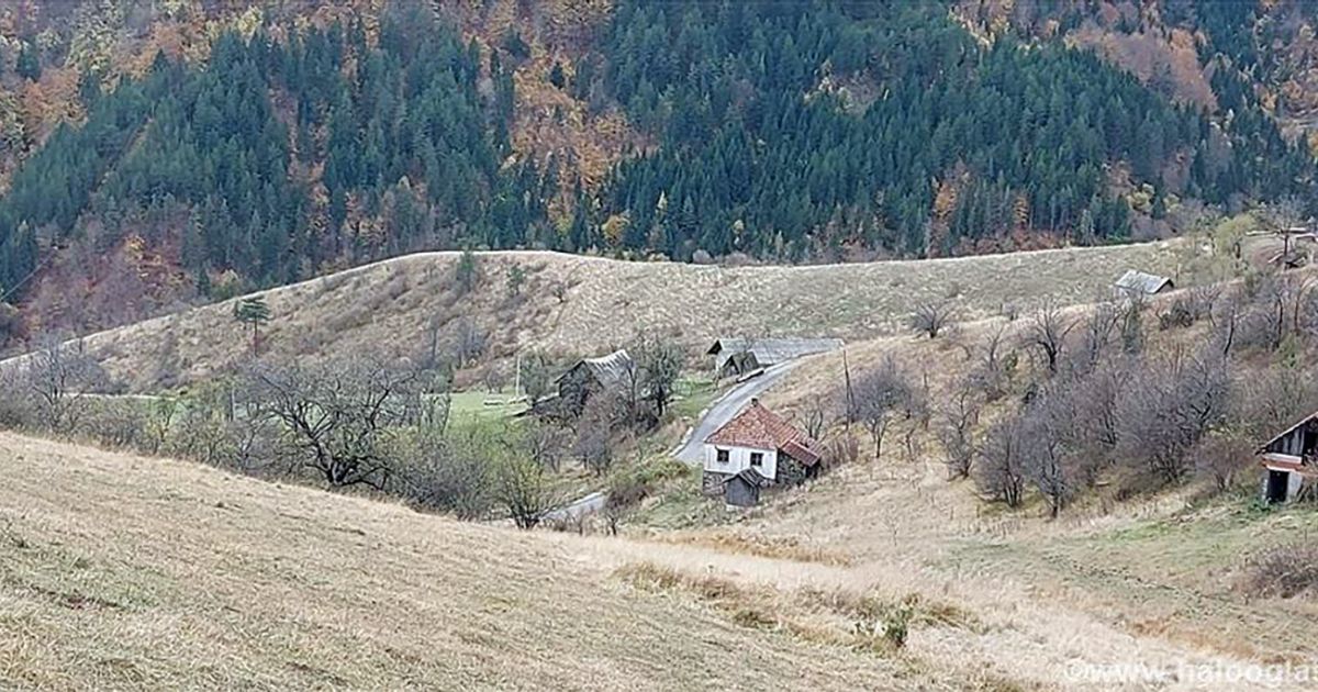 Prodaje kuću sa hektarom placa kod Zlatibora - Telegraf Biznis