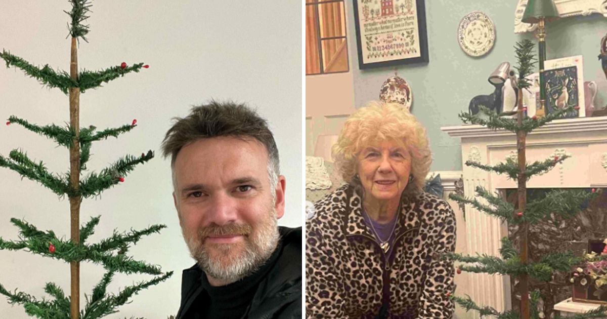 Veštačka jelka prodata za 3.600 evra: Možda ne izgleda glamurozno, ali ...