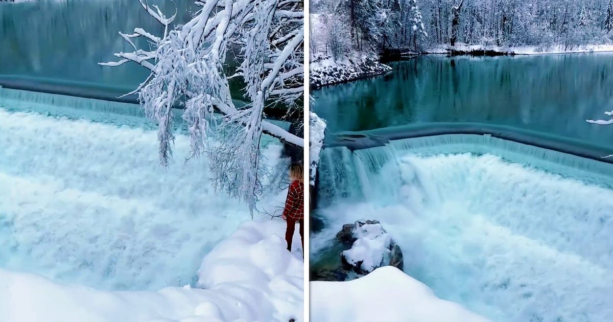 "Poslednji divljak" u Evropi: Neverovatno čudo prirode od kojeg zastaje ...