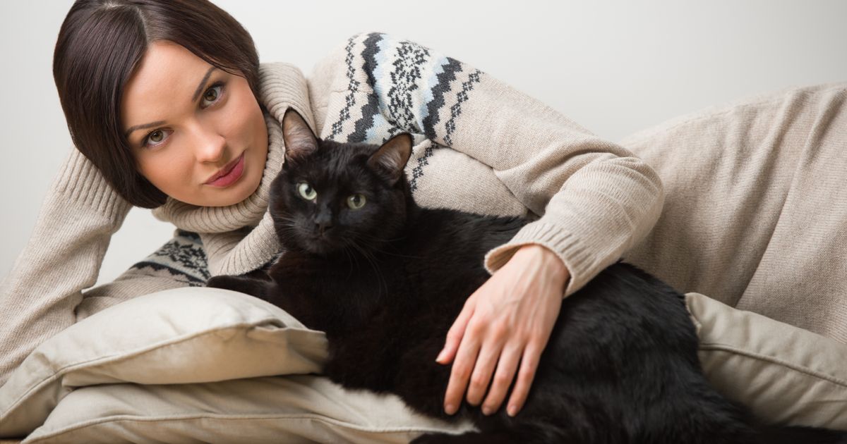 Može li predenje da ublaži zdravstvene tegobe vlasnika - Ljubimci Telegraf