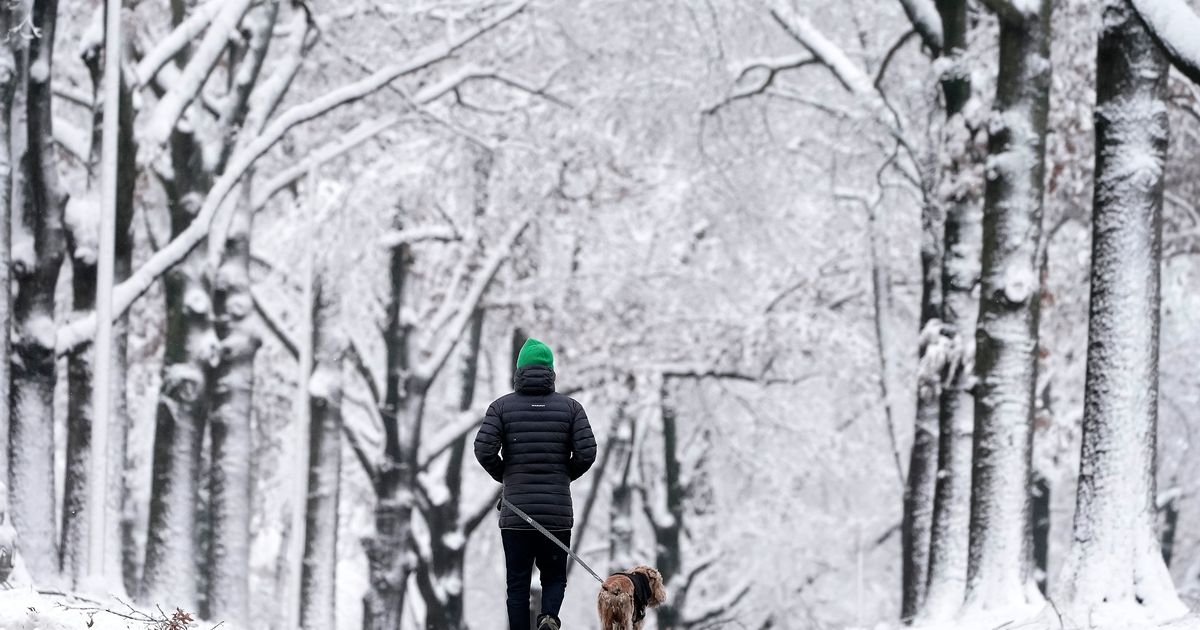 Hitno upozorenje RHMZ! Očekuju se jake snežne padavine i nanosi, u OVIM ...