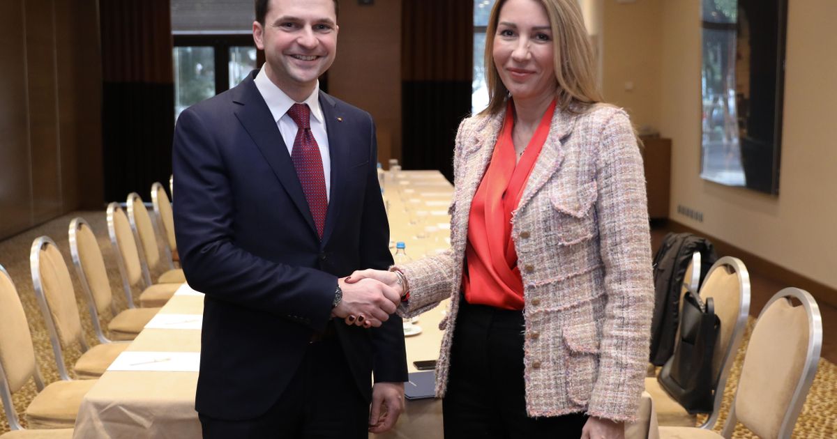 Đedović razgovarala sa rumunskim ministrom o saradnji: "Energetika ...