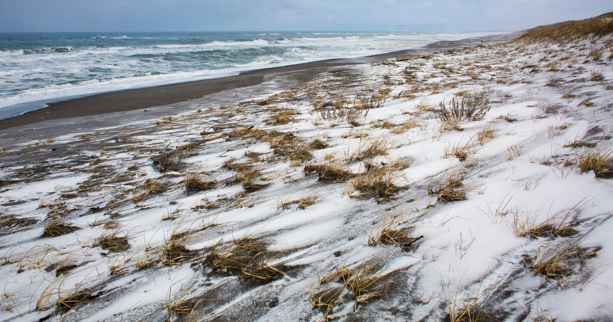 Nije montaža! Na ovoj plaži se susreću sneg, pesak i more: Scena nikoga ...
