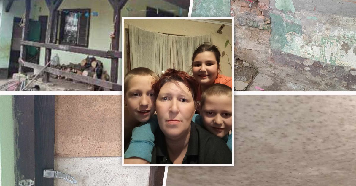 Dragana (38) kopa kanale i čisti štale da prehrani decu: Kuća im ...