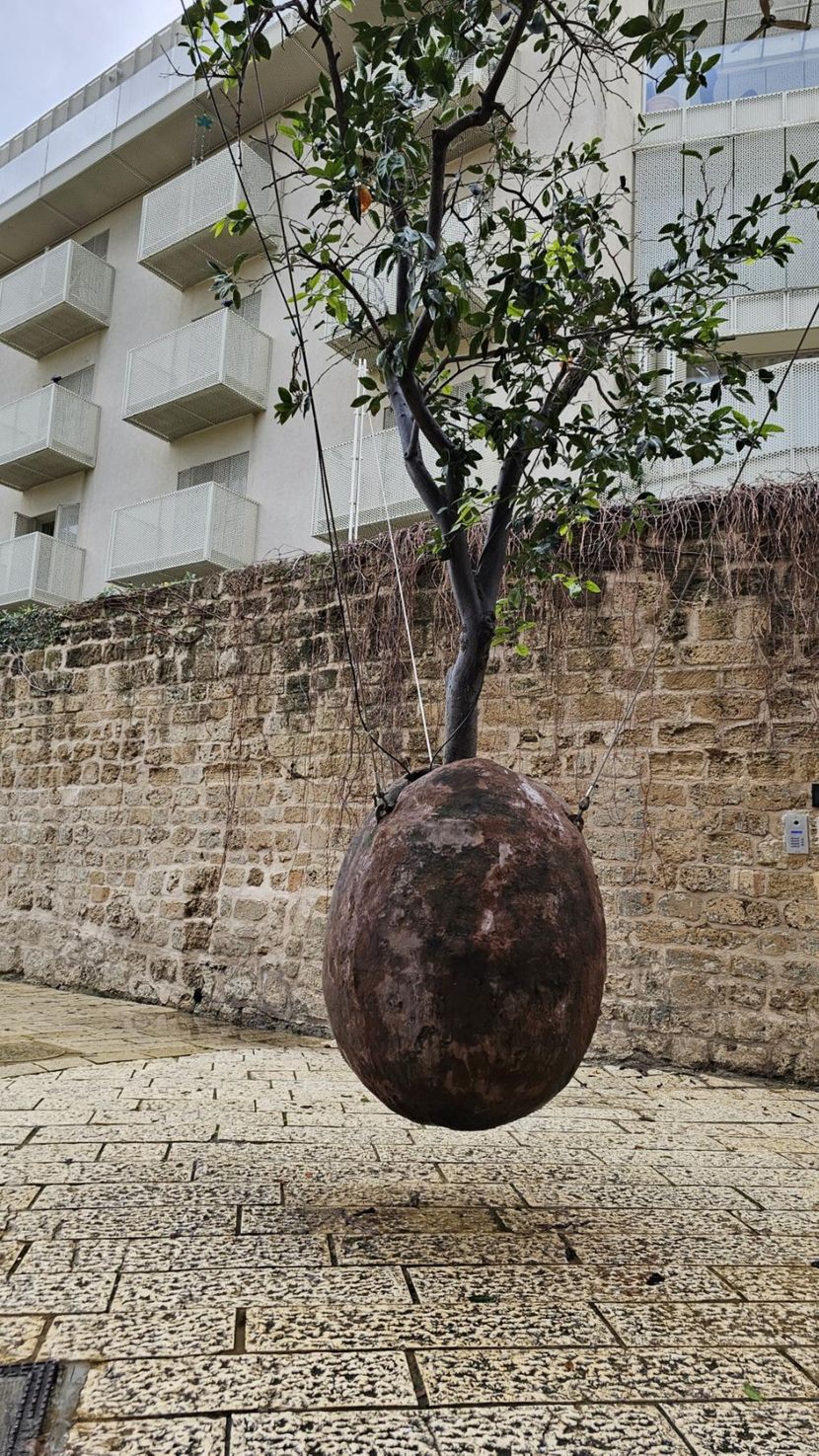 Posetili smo drevni grad Jafu: Umetničko srce i duša izraelske obale u ...