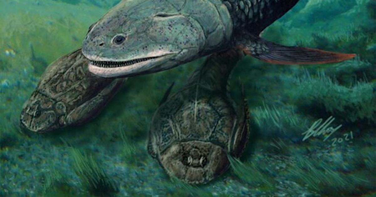 Ovo stvorenje imalo je oštre zube, velike očnjake i rupe na vrhu ...