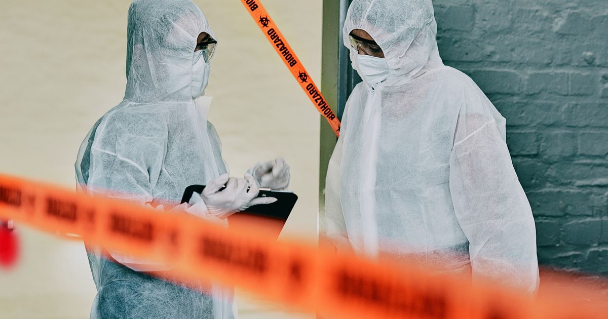 Mlada Mađarica ubila svog 44 godine starijeg dečka, pa pobegla iz ...