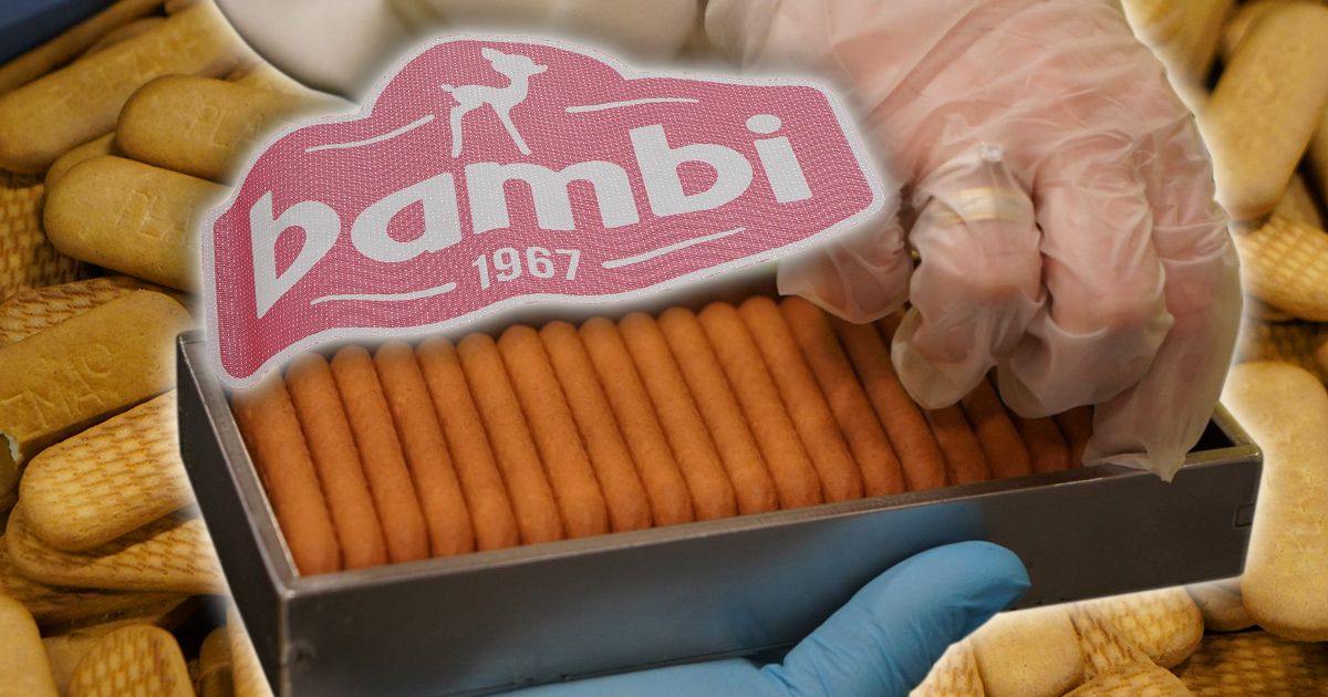 Bili smo u Požarevcu da probamo vruću Plazmu: Pogodite kolika se ...