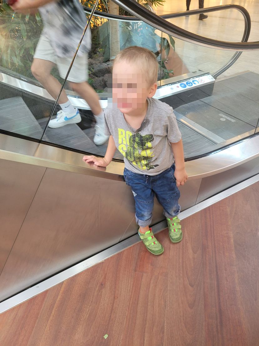 Mali Leon (6) pronađen mrtav, rečeno da se utopio, istina je mnogo gora ...