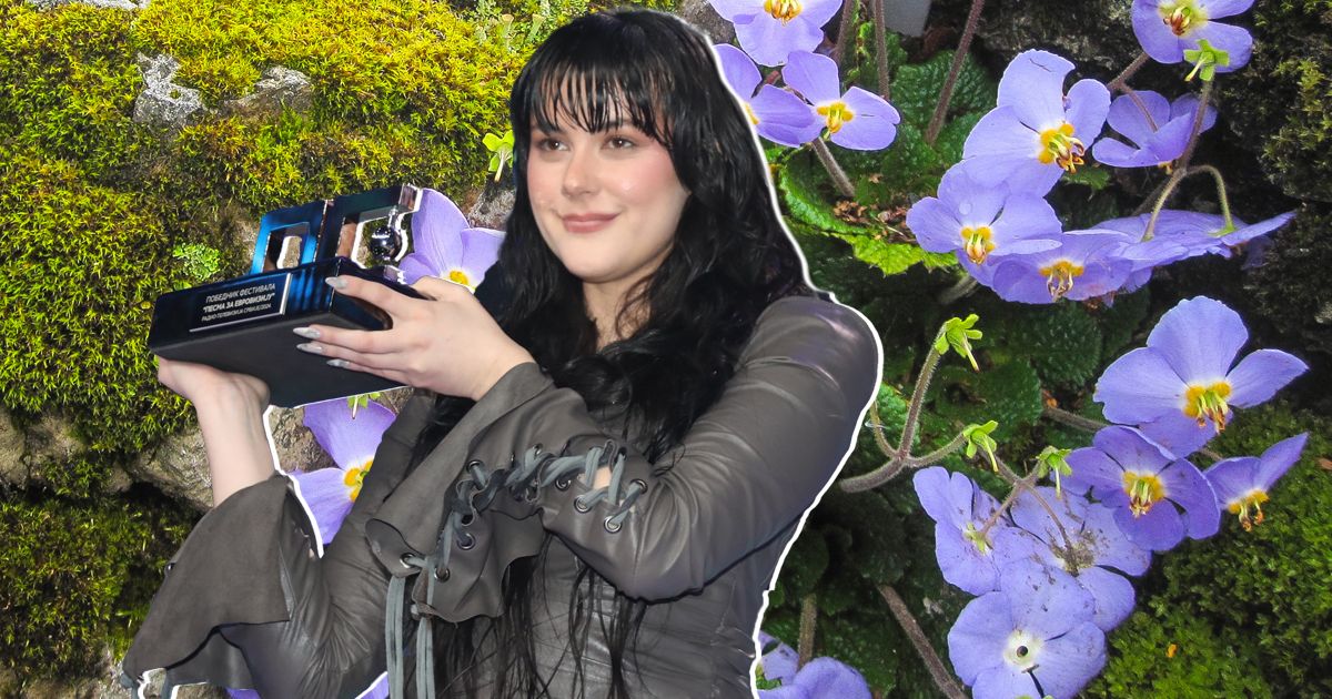 "Gde su nestale..." Teya Dora pronašla lila ramondu, snimak pobednice i ...