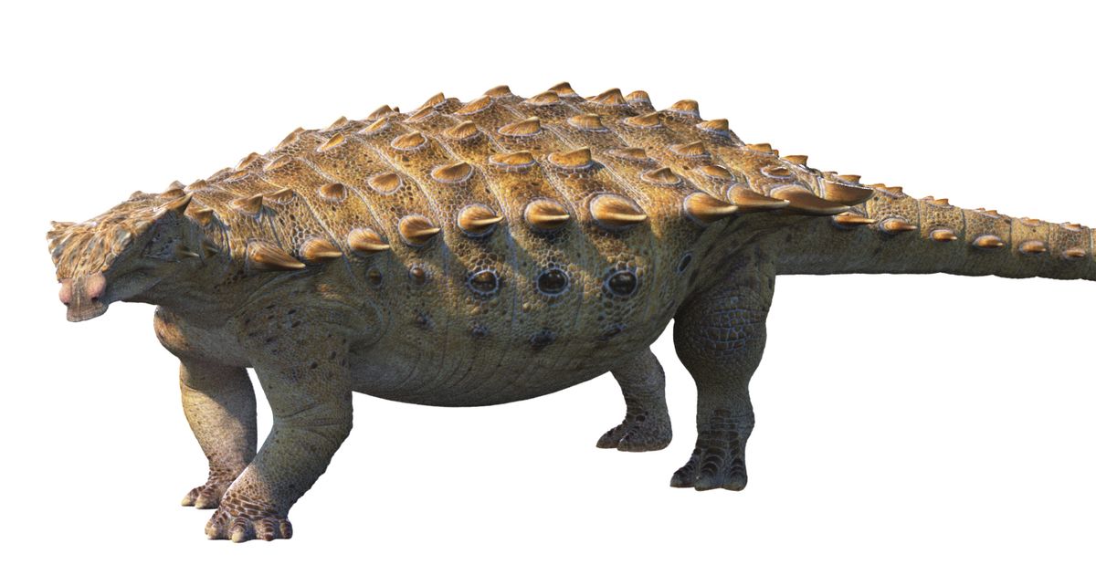 Ovo čudovište imalo je oklop i par rogova na obrazima - Nauka Telegraf