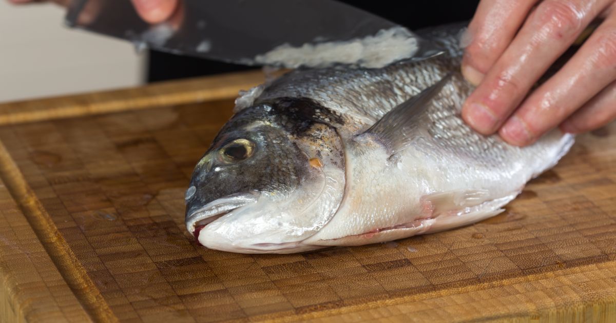 Kuvar uživo u emisiji spremao ugroženu vrstu ribe iz Dunava: Brani se ...