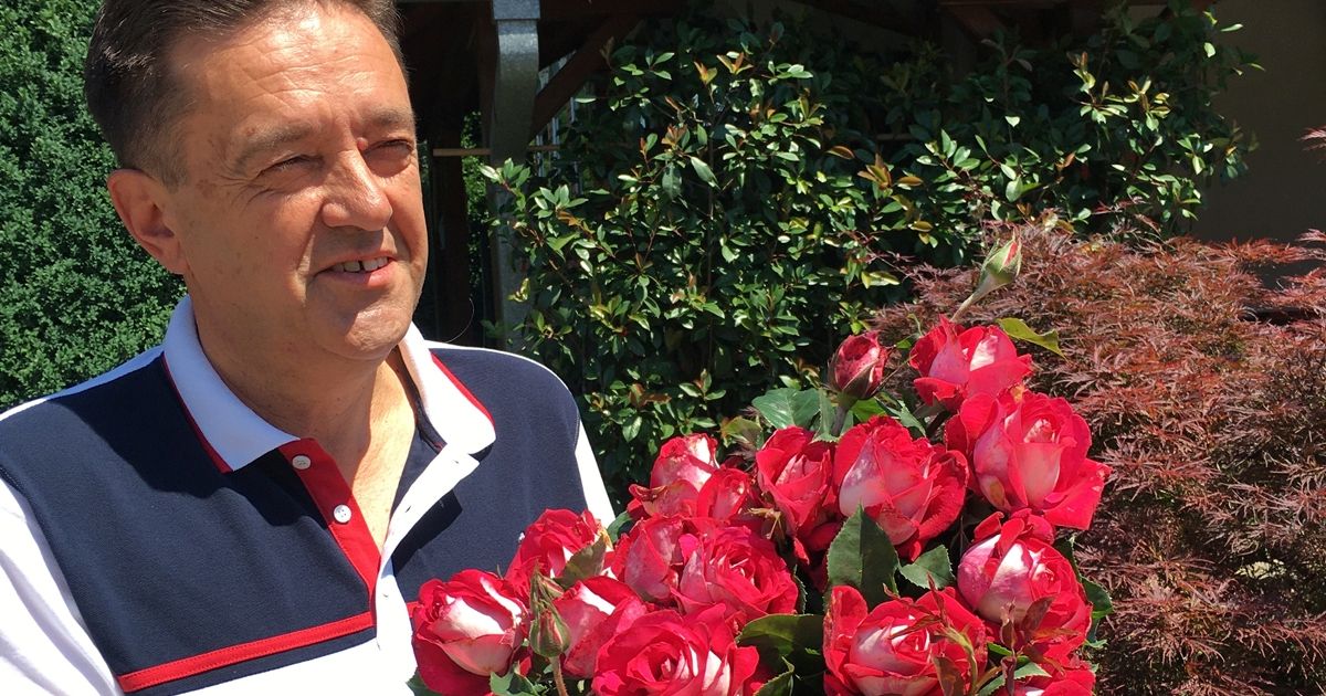 Milan ima najlepše bukete, ruže prodaje širom Evrope: "Kraljica cveća ...