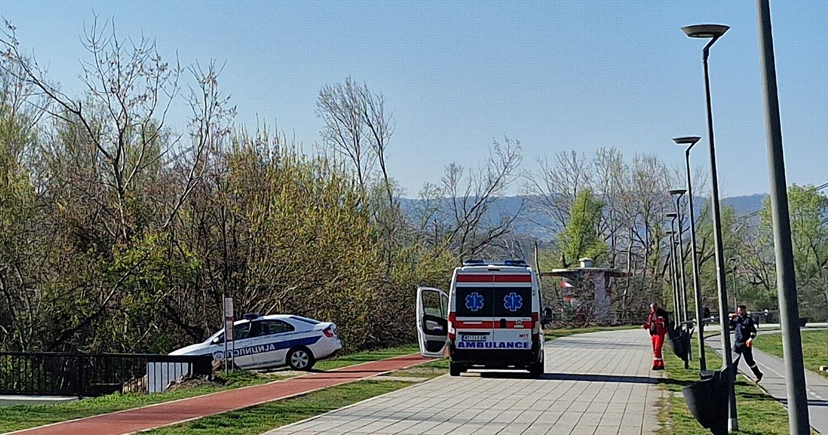 Telo muškarca pronađeno u šipražju u Batajnici - Vesti - Telegraf.rs