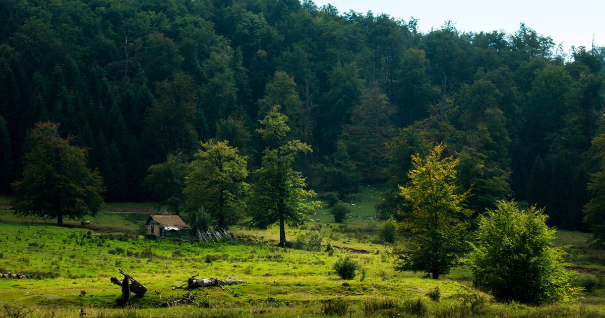 Nije se džabe govorilo „Bez nevolje, ne idi u Homolje“: Ljudi su se ...