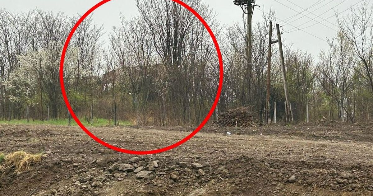 Ovo je kuća kod koje je nestala mala Danka (2): Sama na vrhu ulice, okružena gustim drvećem i ...