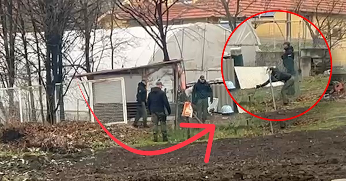 Latest footage from the scene of the disappearance of Danka (2): Police ...