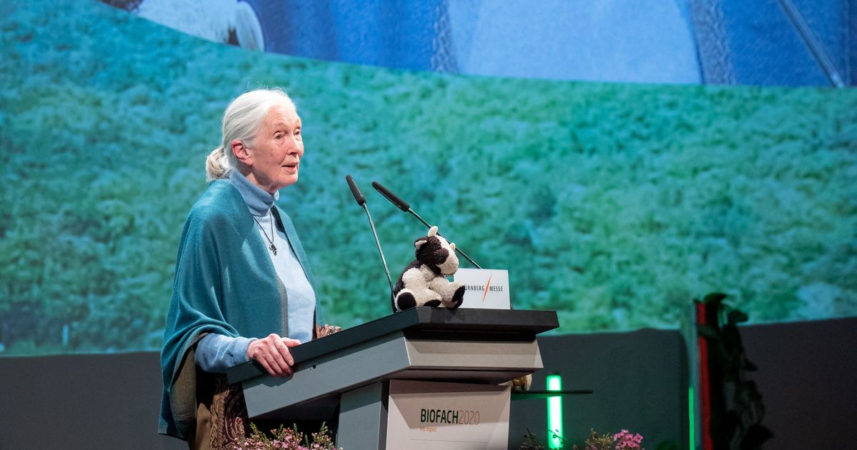 Pokrenula revoluciju u načinu na koji gledamo životinje: Poslednji ...