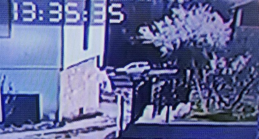 Ubistvo nestale Danke - Vesti - Telegraf.rs