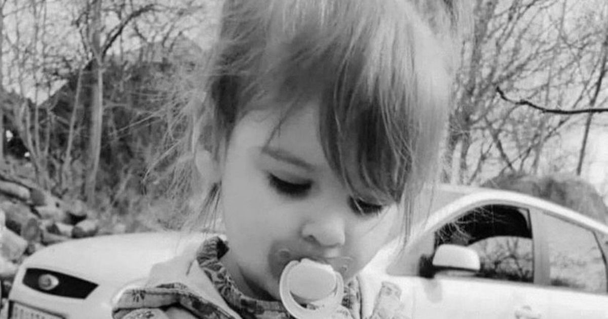 Otkrivamo ko su brat i otac osumnjičenog za ubistvo male Danke: Evo zašto su privedeni - Vesti ...