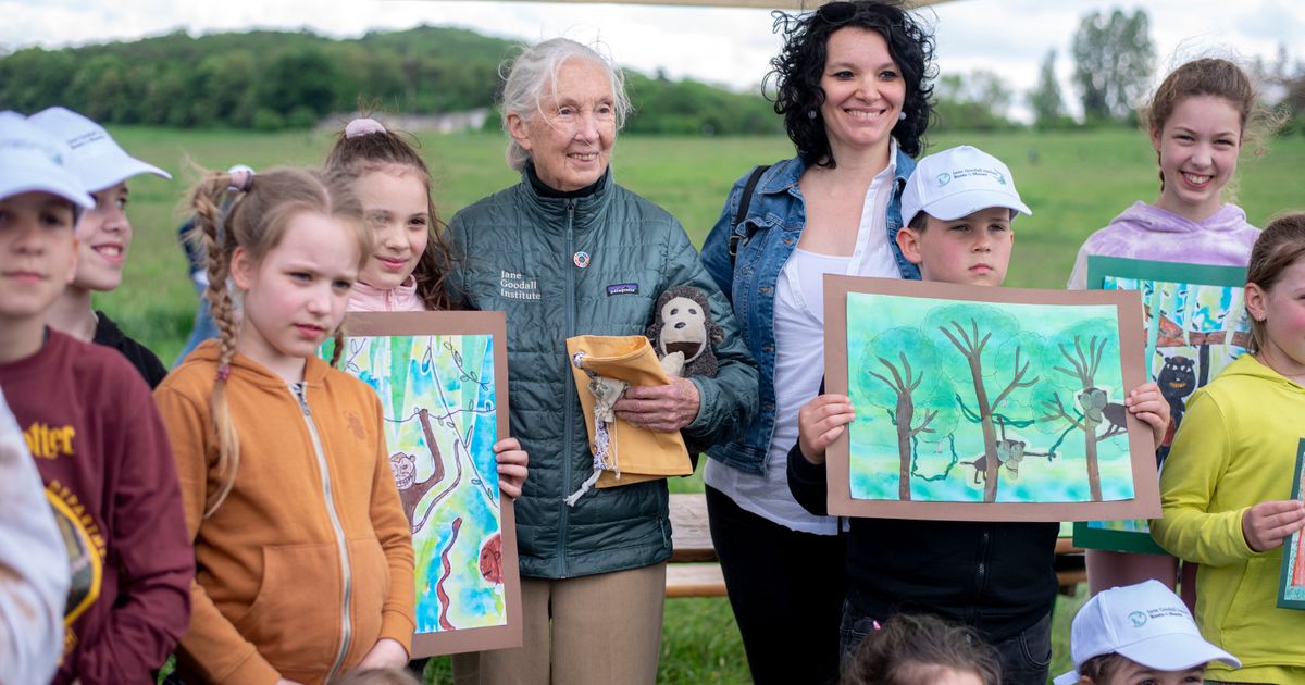 Najpoznatija zaštitnica prirode Dr Džejn Gudal na svoj 90-ti rođendan ...