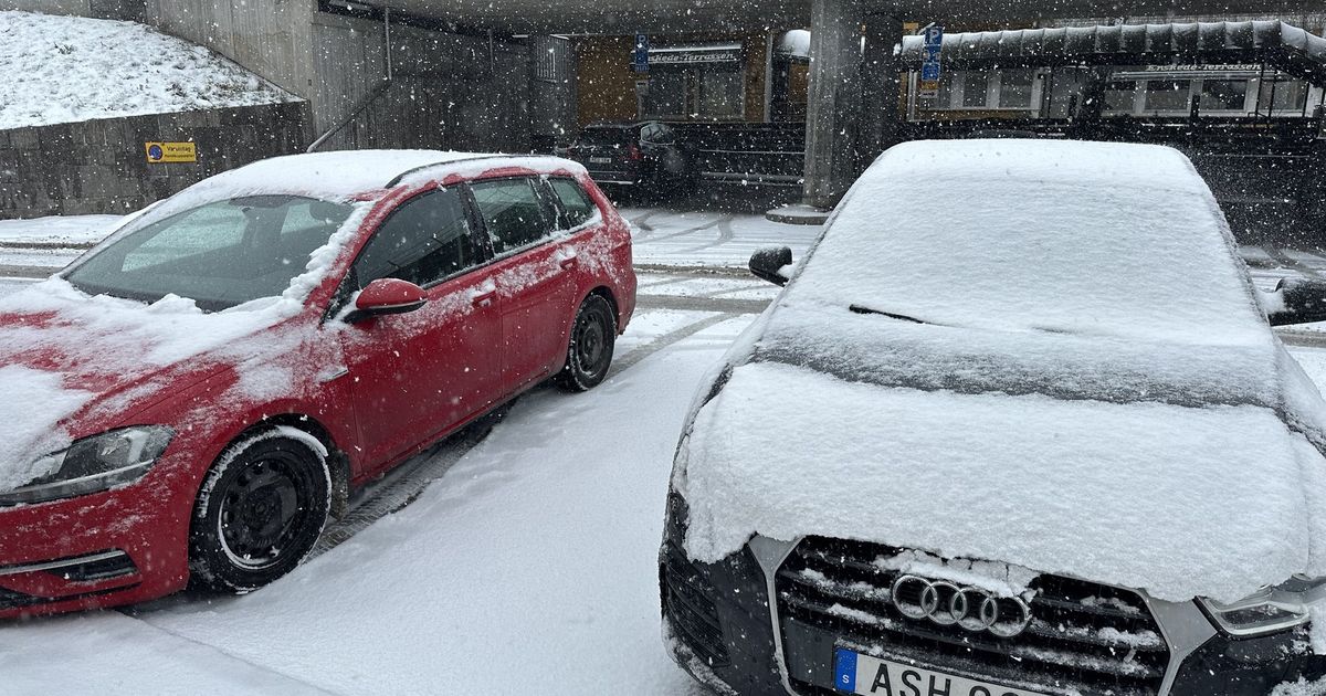 Sneg napravio haos, vozači bili zaglavljeni 10 sati, vlasti na udaru: Vlada je i dalje na ...
