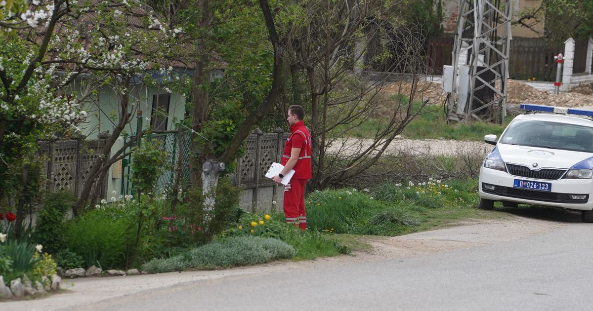 Umro brat osumnjičenog za ubistvo Danke Ilić (2) - Vesti - Telegraf.rs