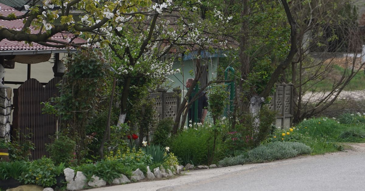 Zlot u šoku nakon vesti da je umro brat osumnjičenog za Dankino ubistvo - Vesti - Telegraf.rs