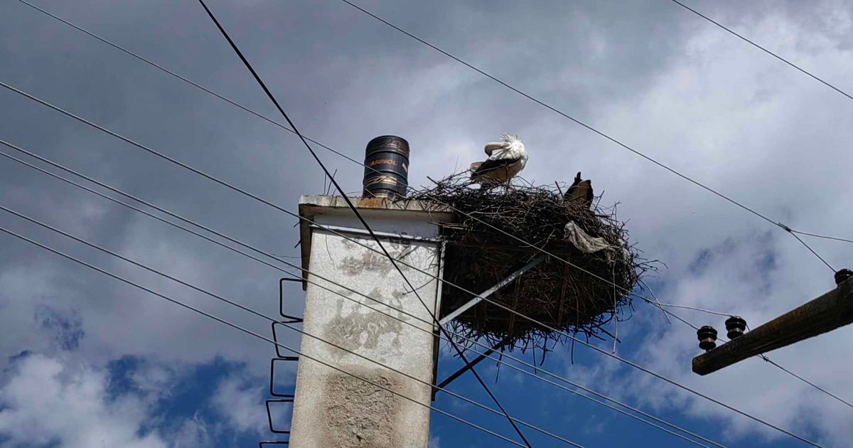 I one su se vratile u selo na Kosmetu: Šilovo je posebno mesto, ima ...
