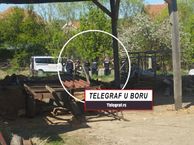 Hronika - Telegraf.rs