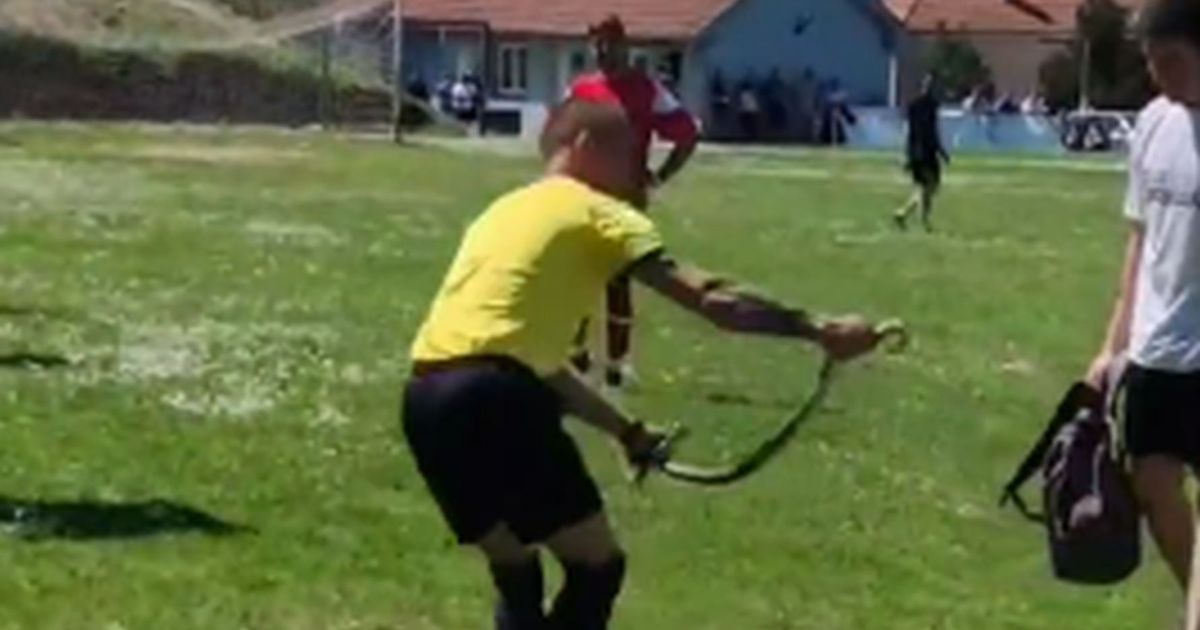 Jeziv prizor u beton ligi: Zmija ušla na teren i ujela sudiju dva puta, on je potom bacio i ...