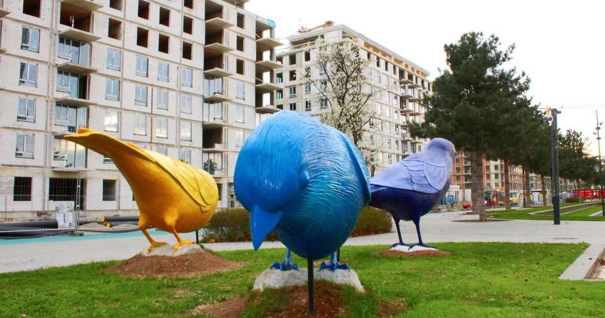 Vrapci su se vratili u Beograd i nastanili u Savskom parku (FOTO ...