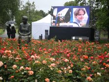 Hronika - Telegraf.rs