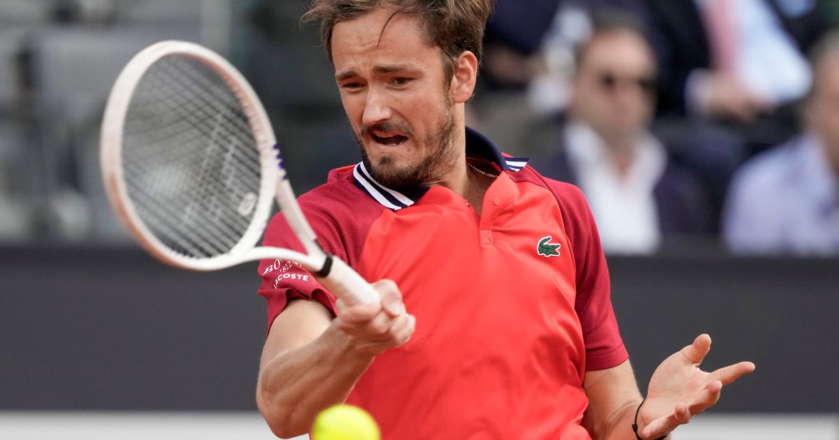 Medvedev: "Međedović je jači i veći medved od mene!" - Telegraf.rs