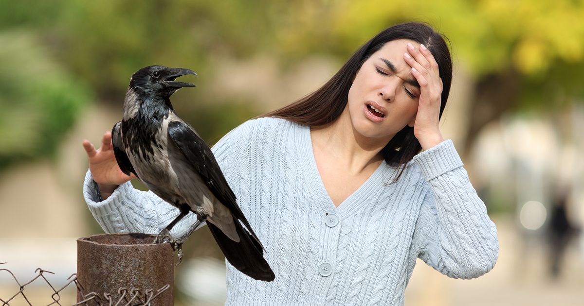 Evo kada će VRANE prestati da nas plaše: Ovde ih ima najviše, ali ako ...