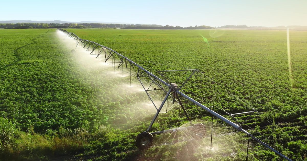 U Srbiji se navodnjava 8,3 odsto korišćenog poljoprivrednog zemljišta - Telegraf Biznis