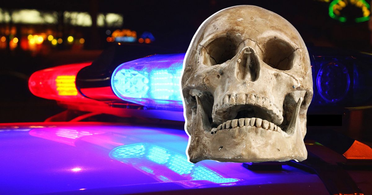 "Doneo sam iz groba kući očevu lobanju, falili su joj zlatni zubi ...