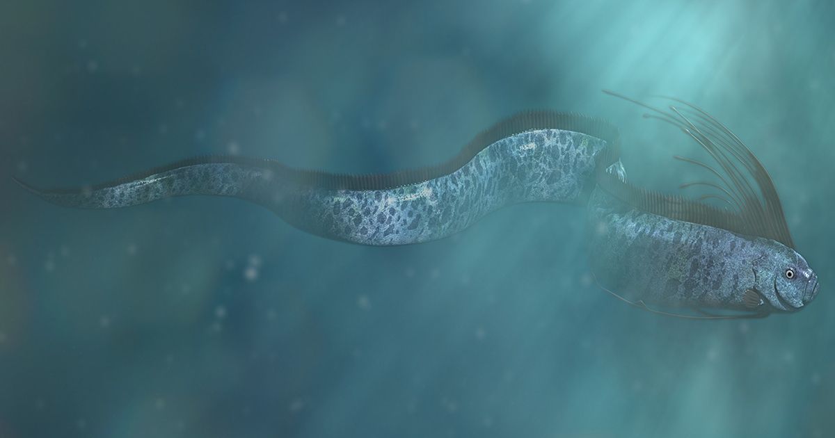 Pronađena misteriozna "riba sudnjeg dana": Meštani u šoku, spremaju se ...