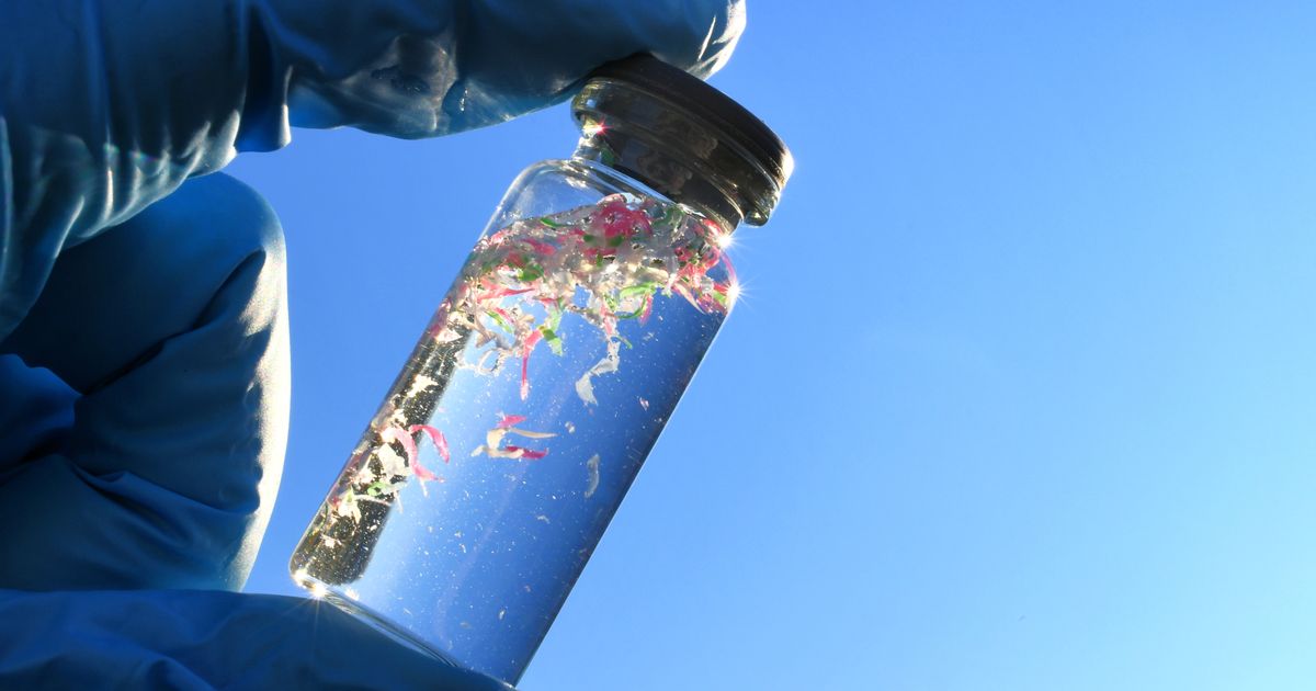 Mikroplastika i reproduktivno zdravlje: Antocijani kao prirodna zaštita ...