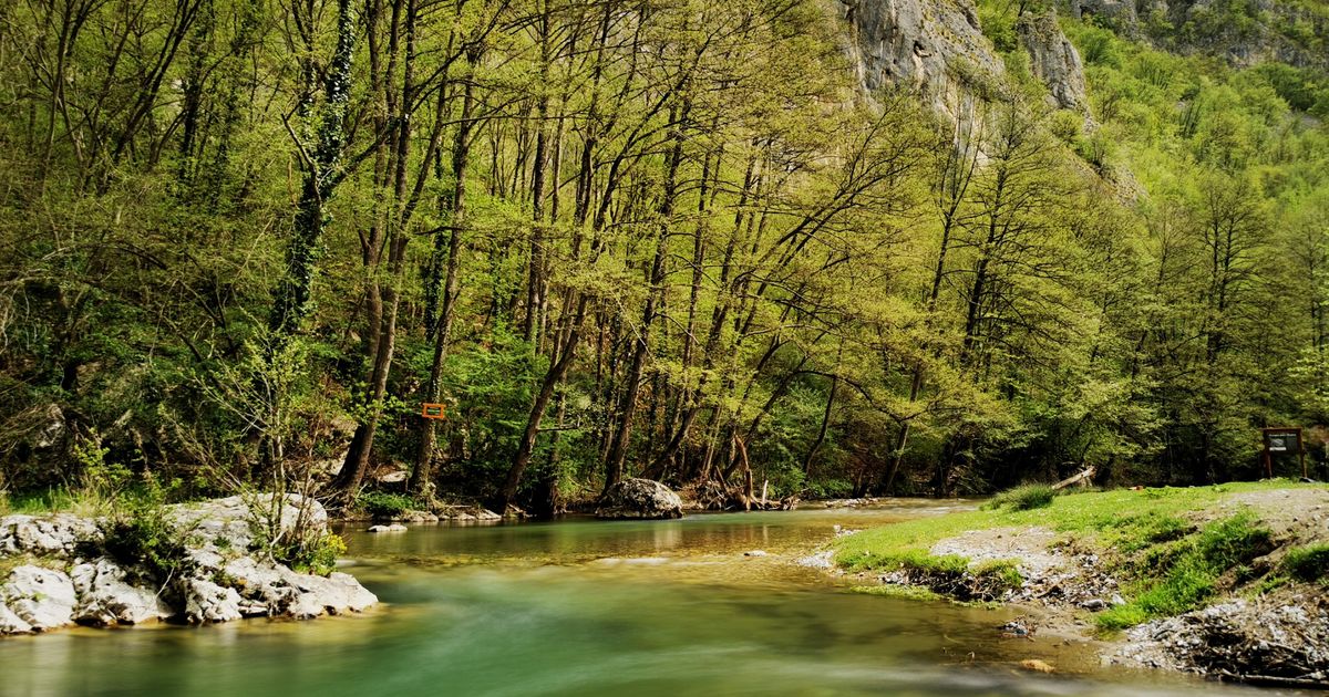Kristalno čista voda, cene kao iz bajke, i na sat od Beograda: Ljudi ne ...