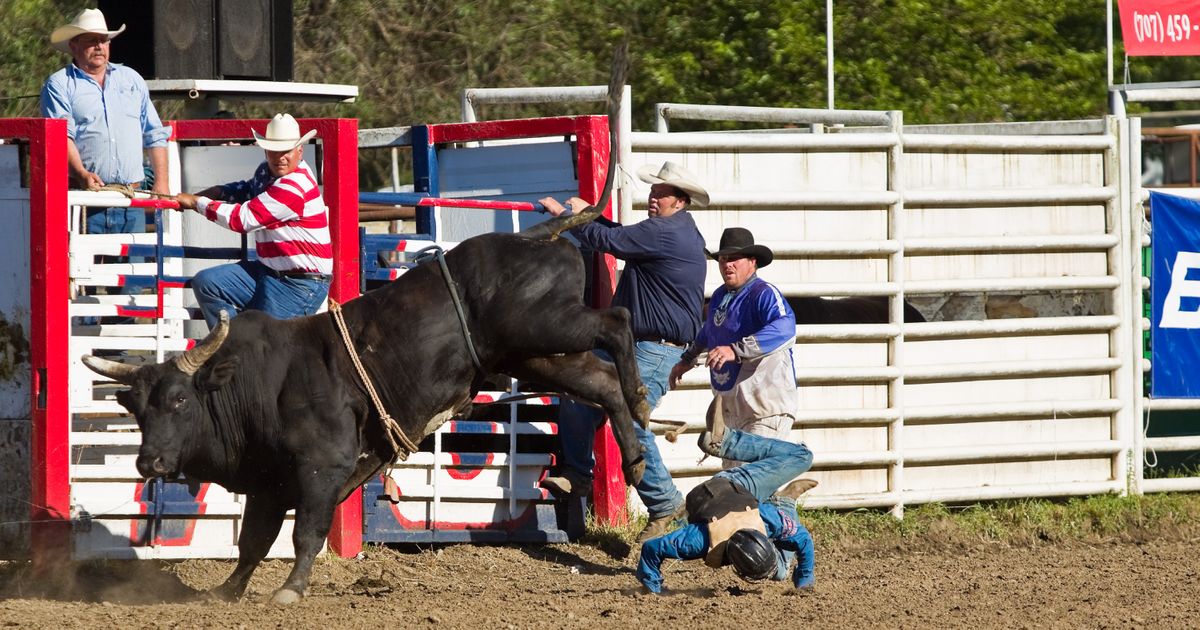 Bik preskočio ogradu i napravio haos: Ljudi panično bežali po parkingu ...