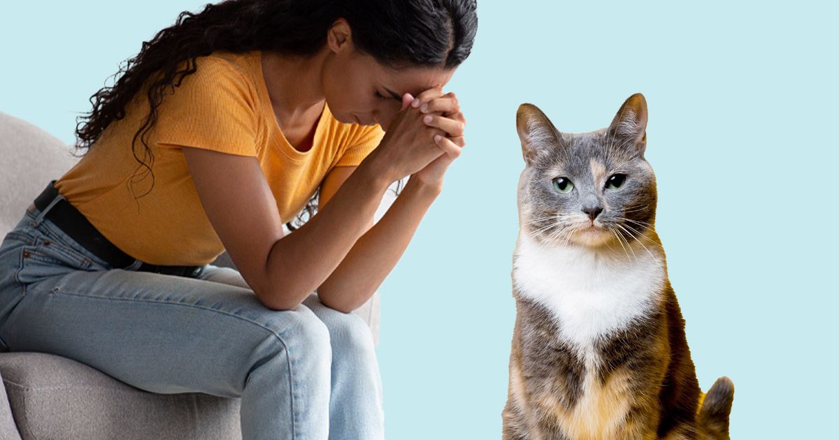 Žena slučajno autom pregazila komšijsku mačku, sada je vlasnici progone ...