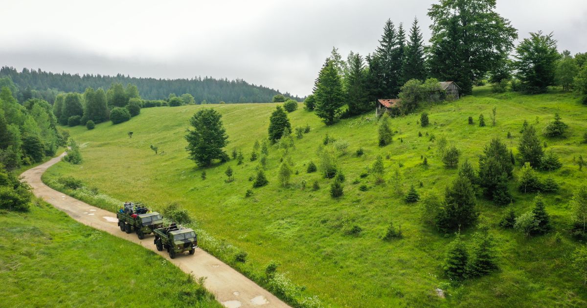 "Tara safari“ je odličan način za upoznavanje skrivenih lepota ...