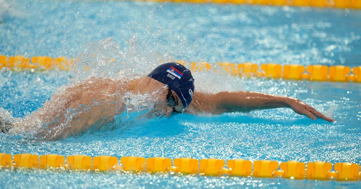 Evo kada Andrej Barna pliva za medalju na Svetskom prvenstvu - Telegraf.rs