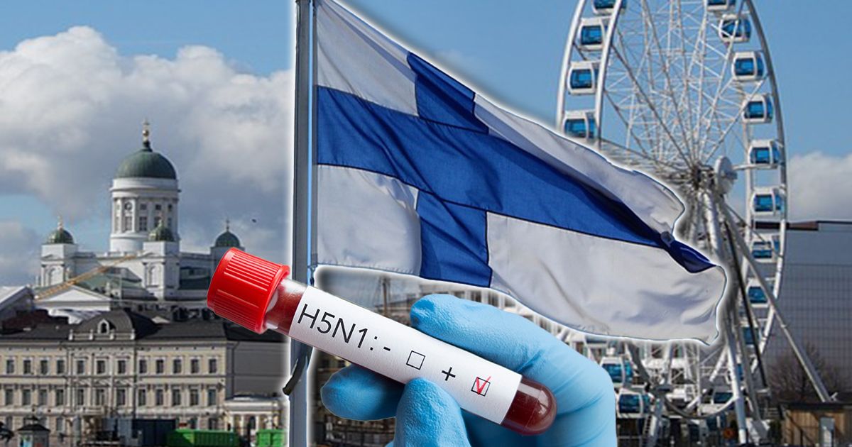 U Finskoj uskoro preventivna vakcinacija protiv ptičijeg gripa za ...