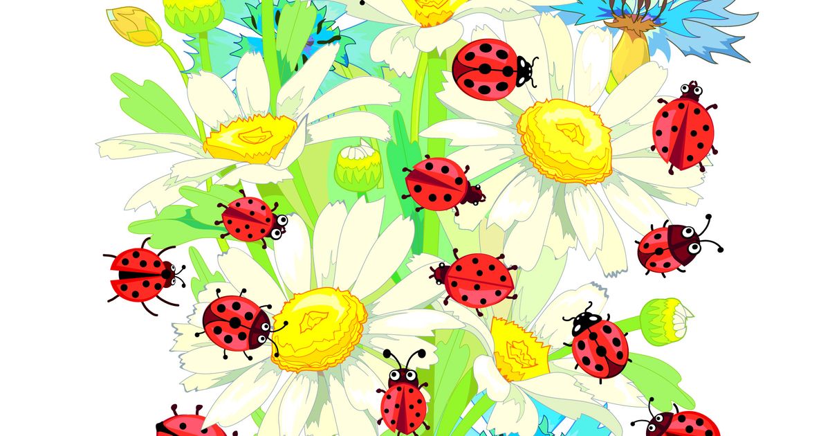 Dobro napregnite oči i pronađite dve iste bubamare: Trenutni rekord je ...