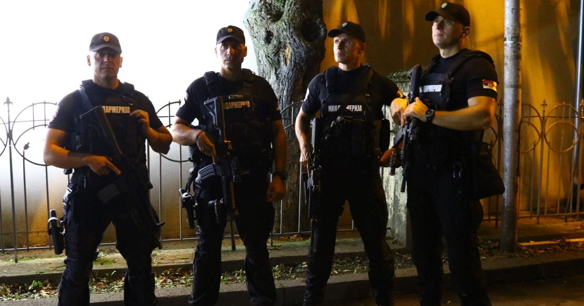 Pojačane mere bezbednosti na srpskim festivalima: Veliki broj policije ...