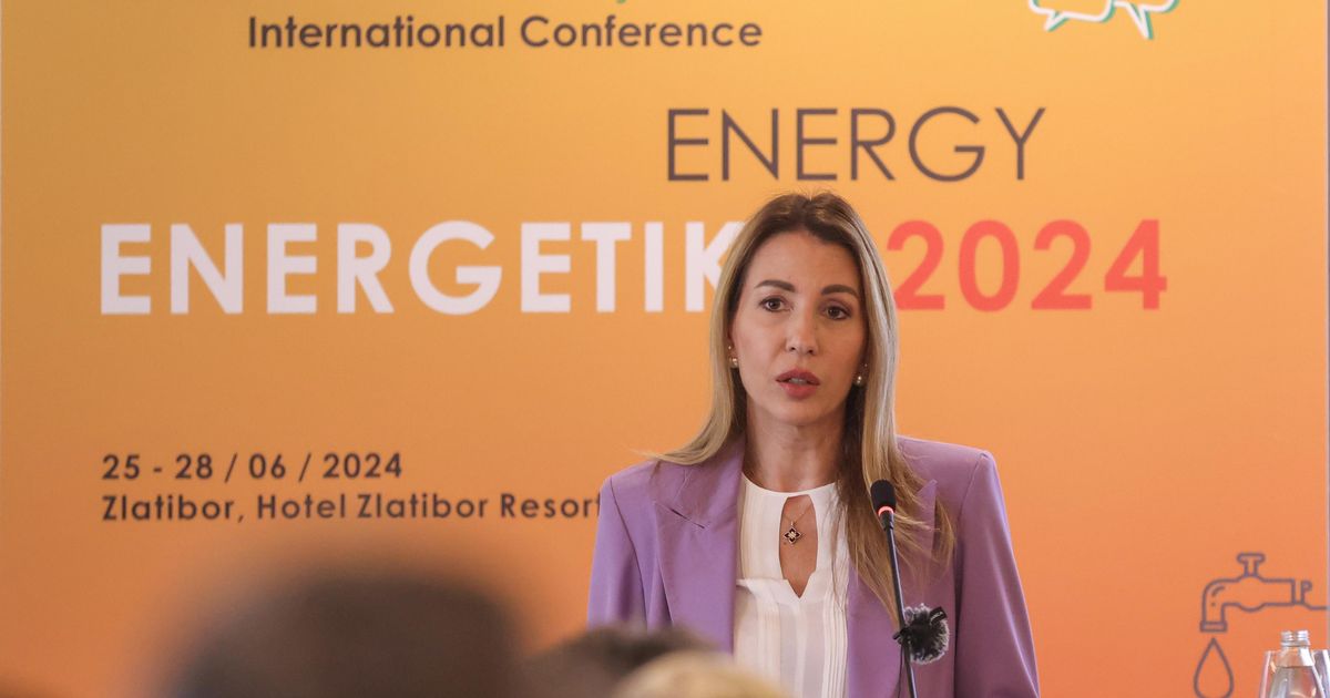 Đedović Handanović: Jačanje struke je temelj budućnosti energetskog i ...