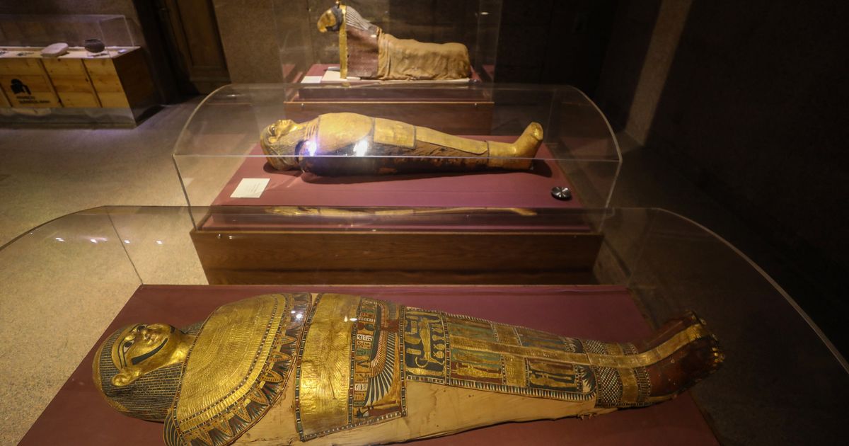 Pronađene drevne mumije sa zlatnim jezicima - Nauka Telegraf